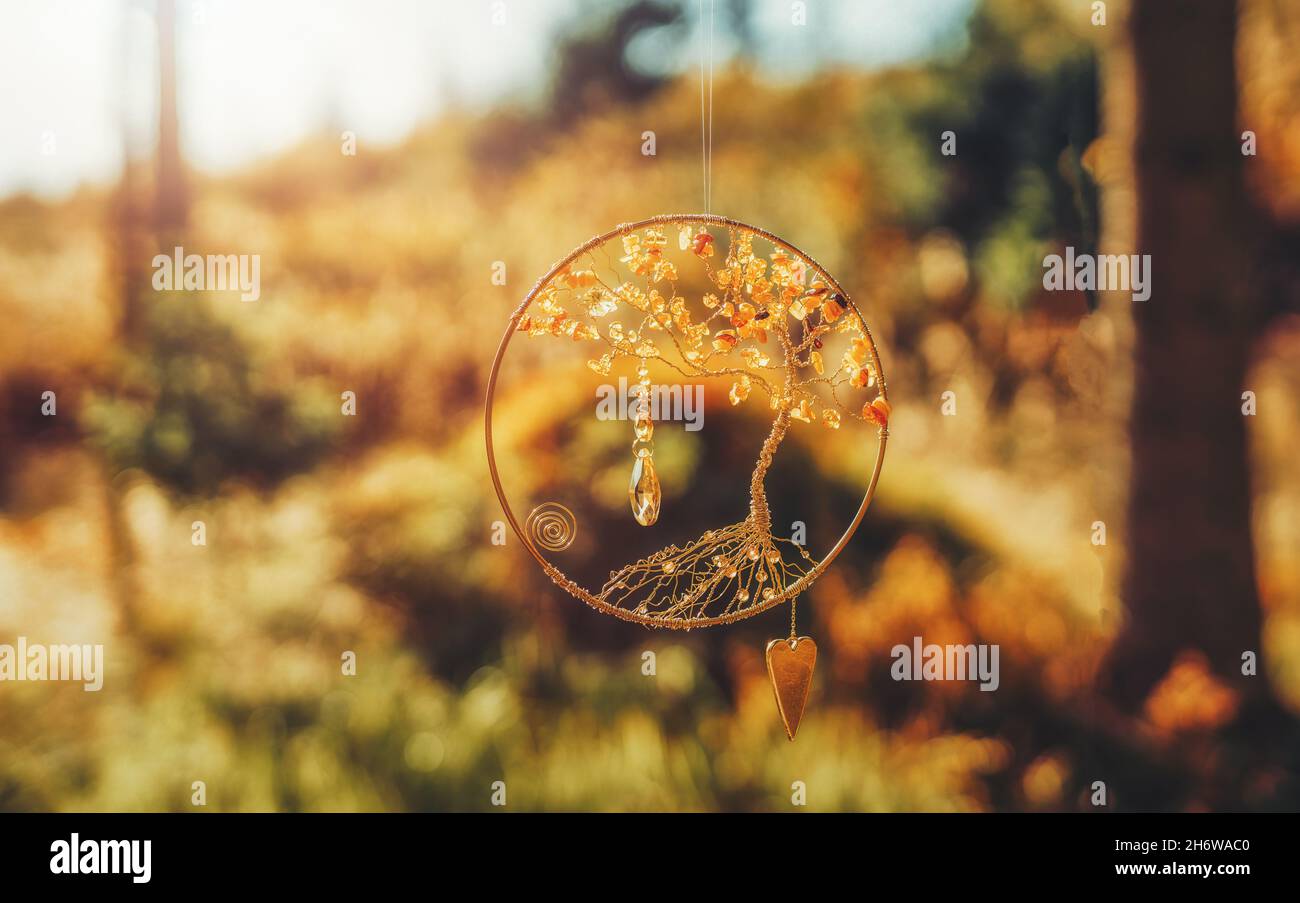 Ornamental flower of life in nature Stock Photo - Alamy