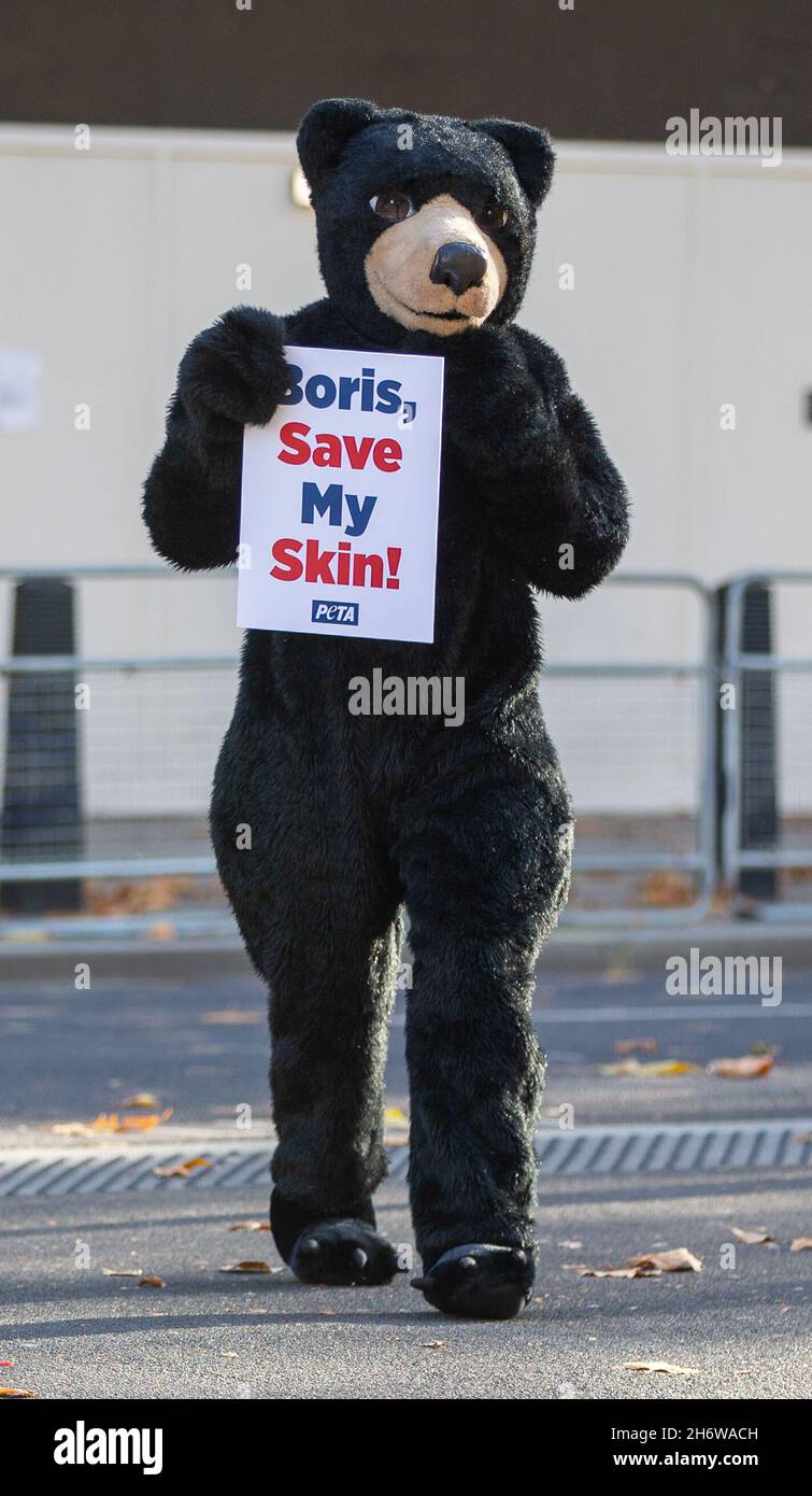 London, England, UK. 18th Nov, 2021. PETA activist dressed as a bear ...