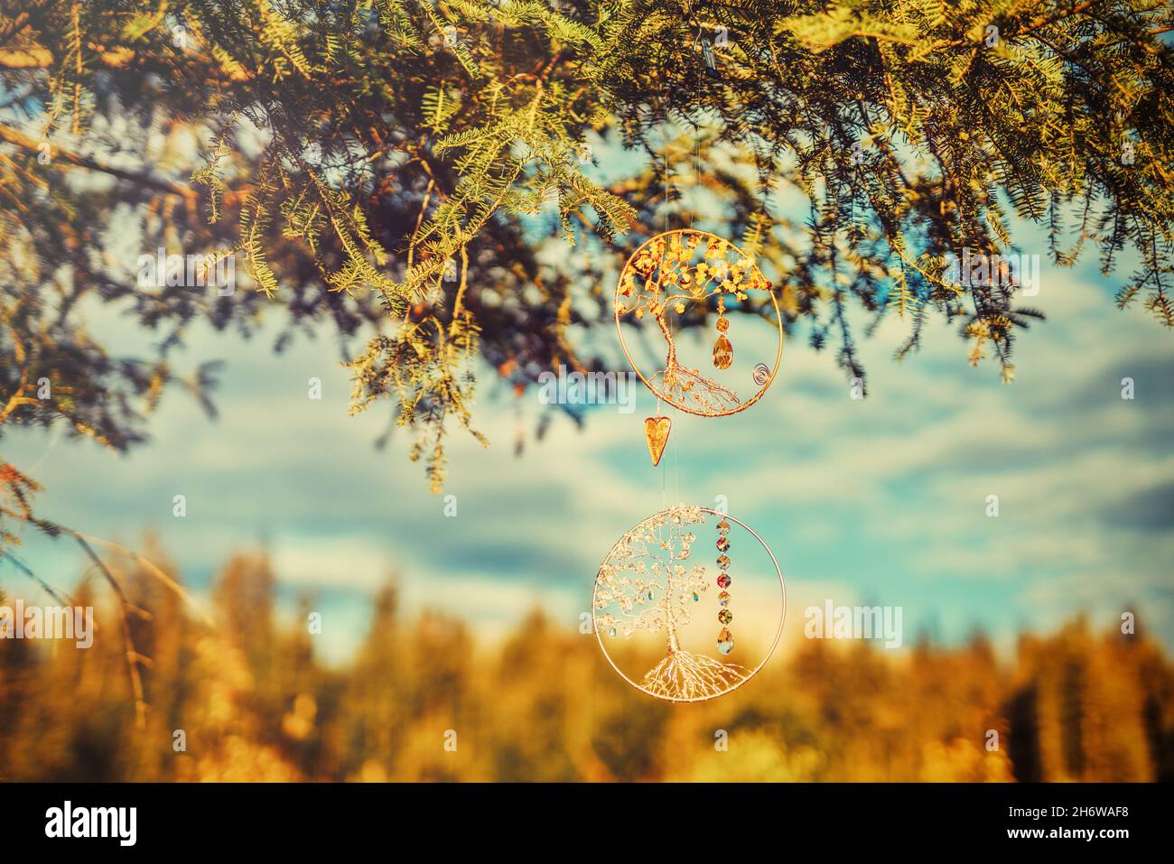 Ornamental flower of life in nature Stock Photo - Alamy