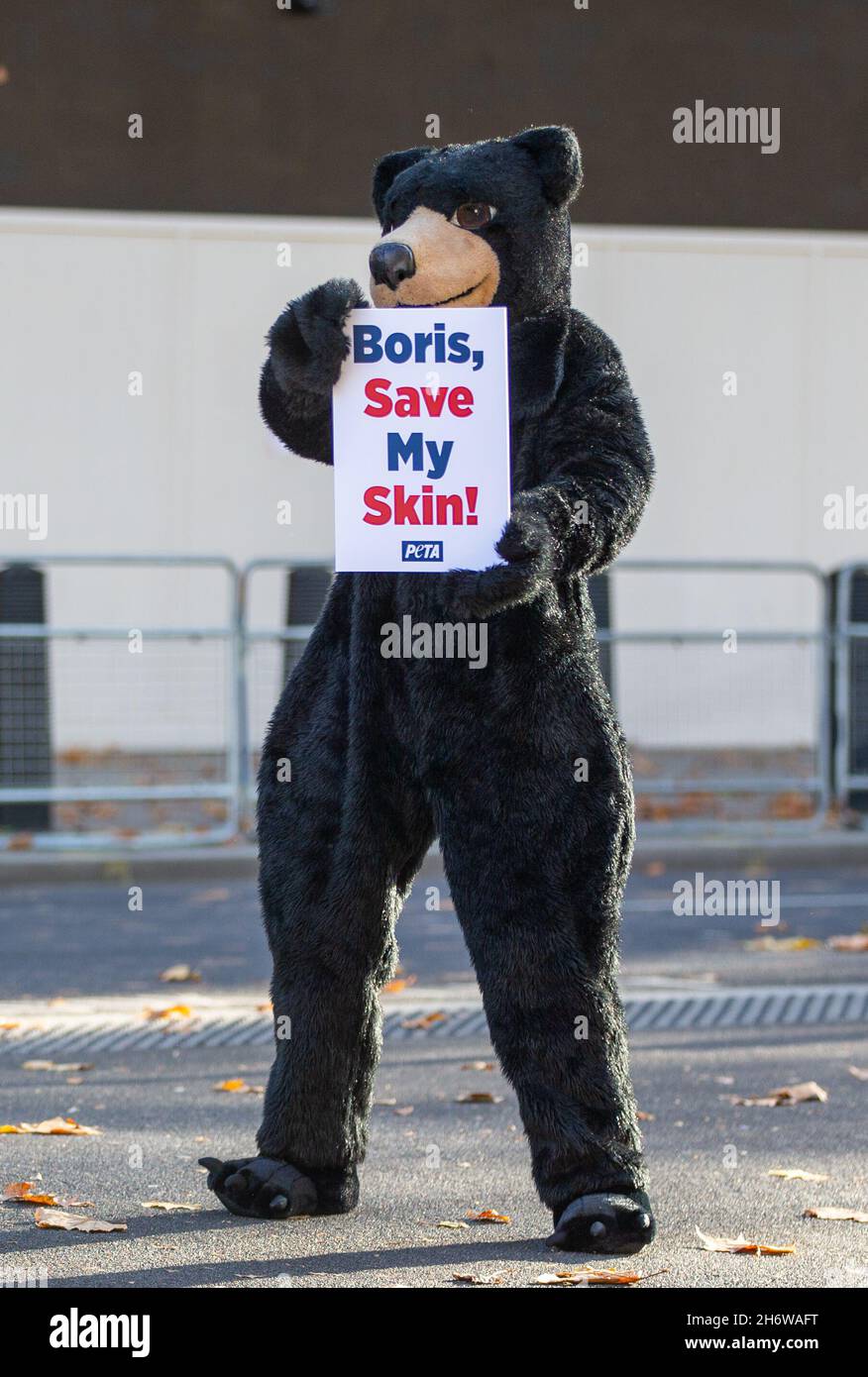 London, England, UK. 18th Nov, 2021. PETA activist dressed as a bear ...