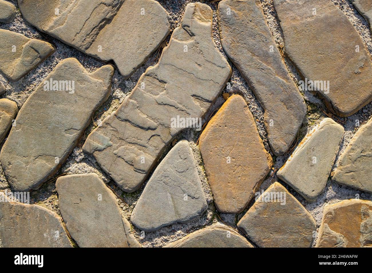 Flat oval stones in cement floor tiles. Shot from above. Paving stone ...