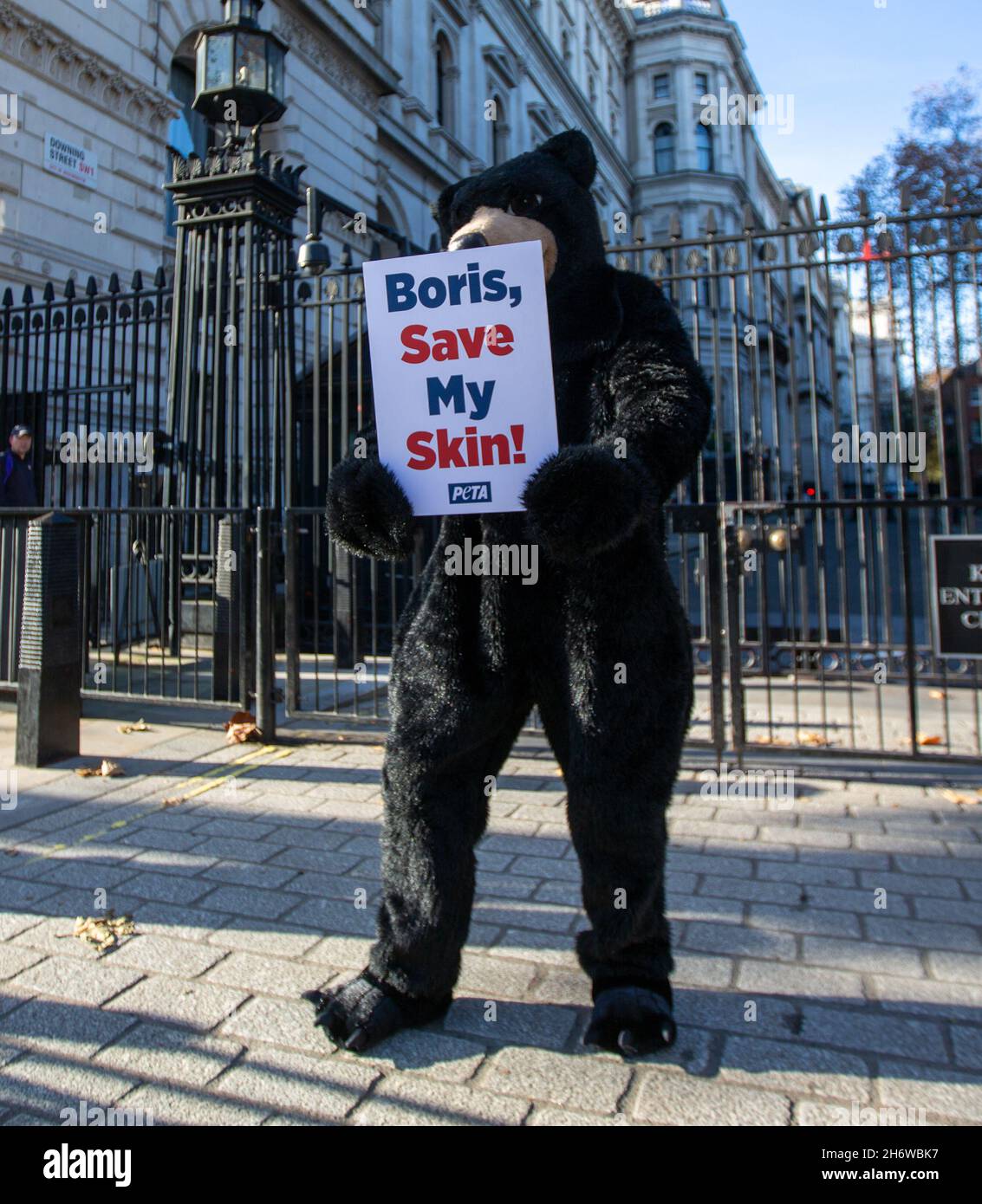 London, England, UK. 18th Nov, 2021. PETA activist dressed as a bear ...