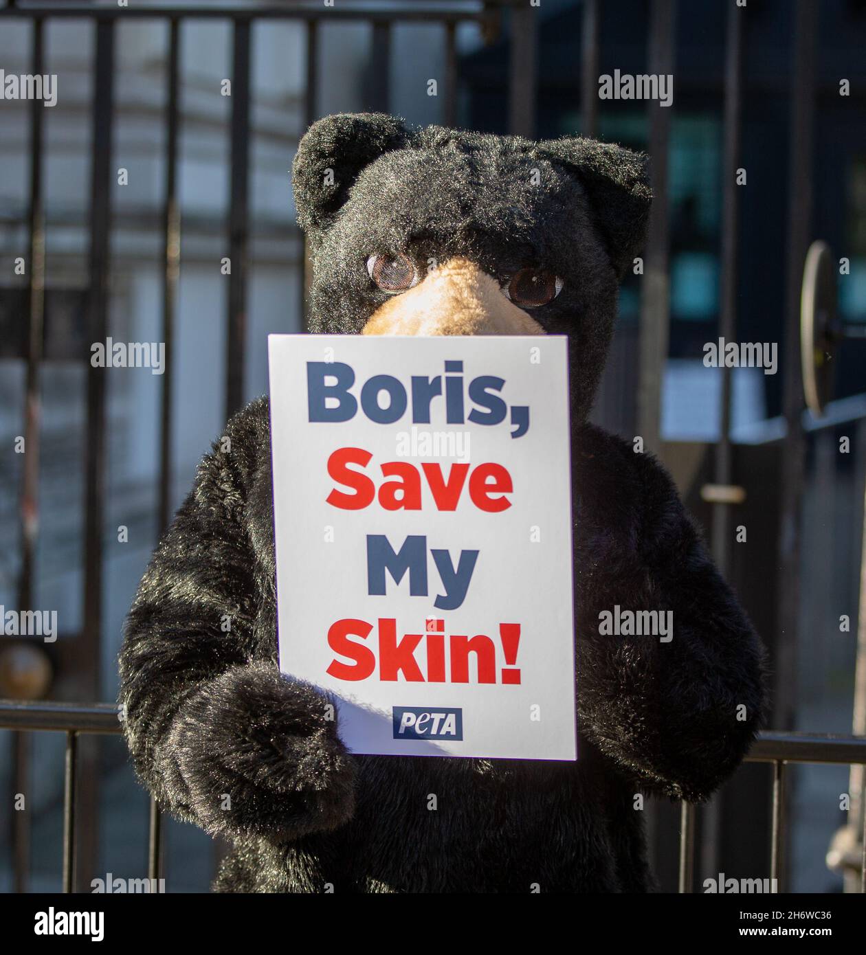 London, England, UK. 18th Nov, 2021. PETA activist dressed as a bear ...