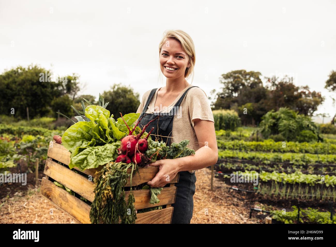 Self-sufficient female farmer holding a box with fresh produce. Young ...