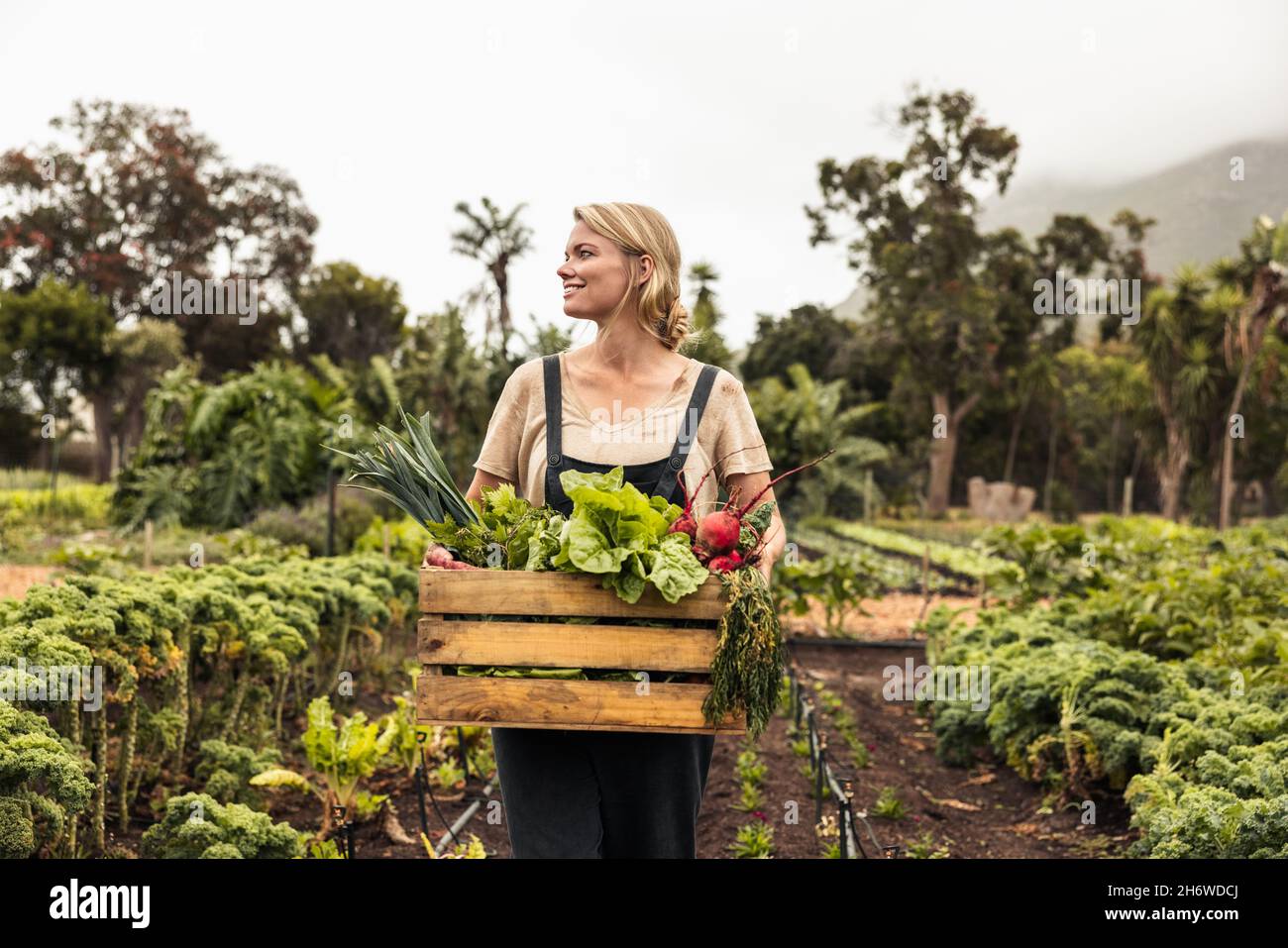 Smiling female farmer gathering fresh vegetables on her farm. Happy ...