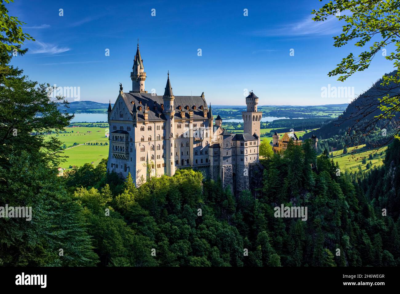 Panoramic view of the castle Neuschwanstein after sunrise Stock Photo ...