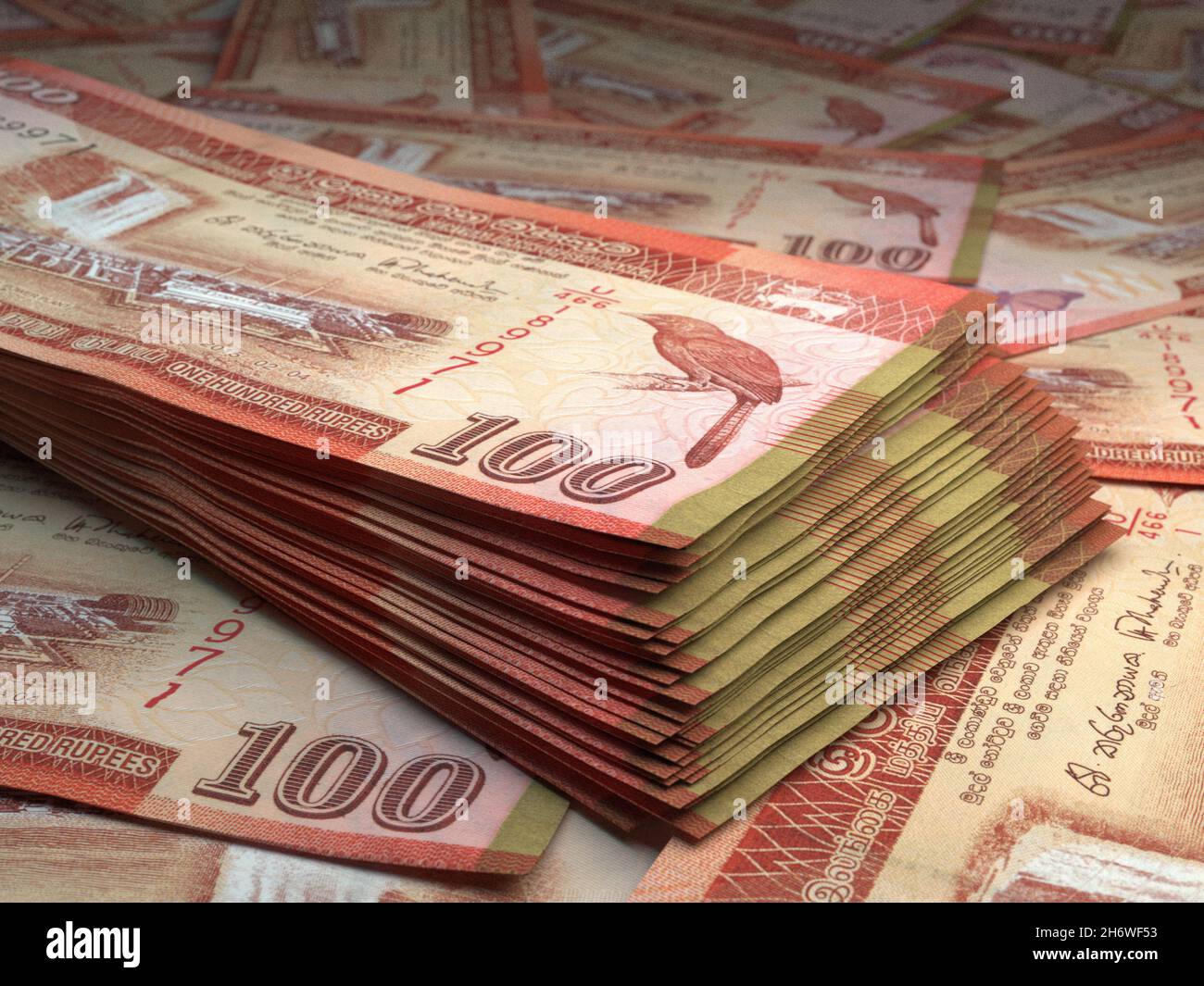 Money of Sri Lanka. Rupee bills. LKR banknotes. 100 Sinhala. Business ...