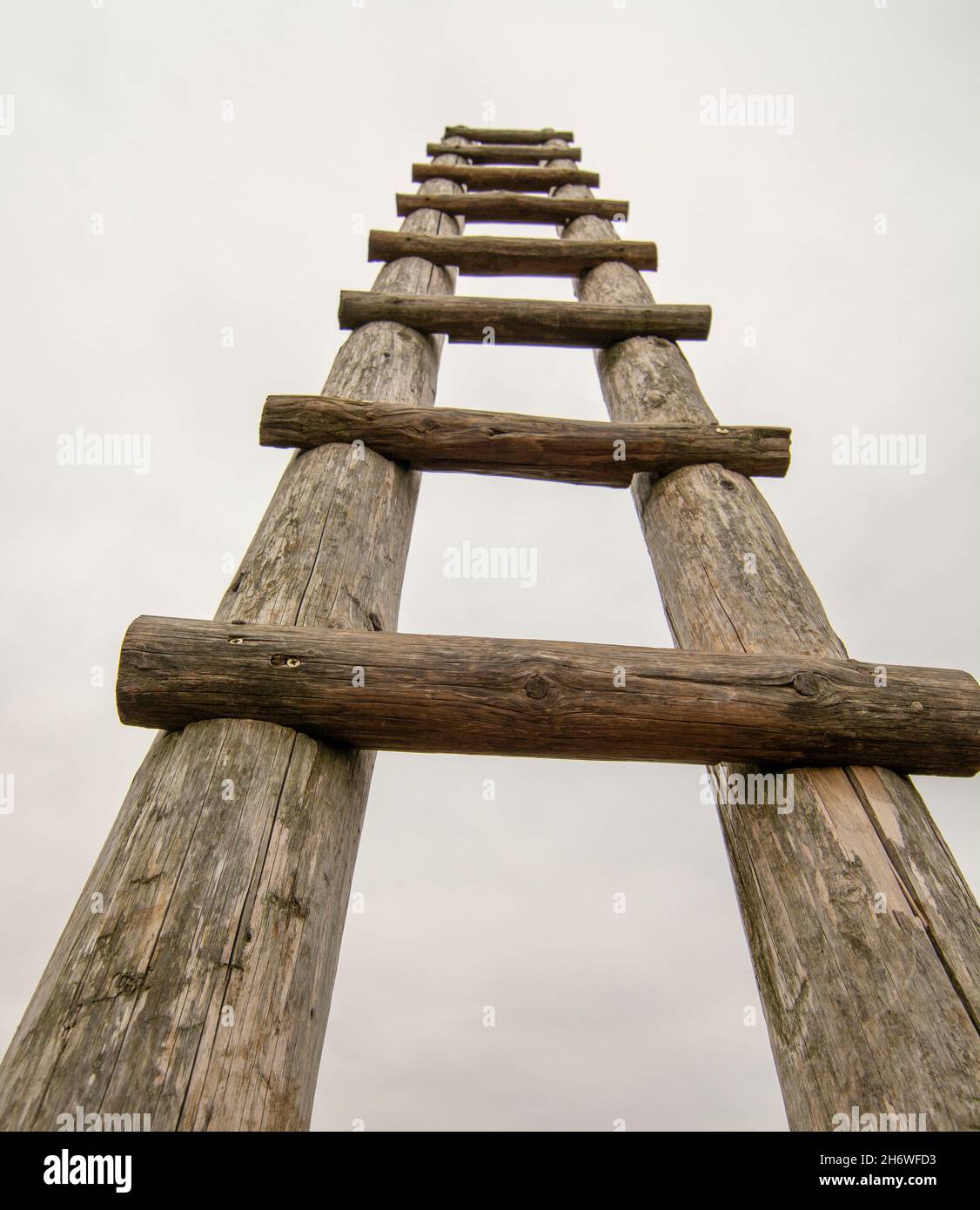 Old wooden ladder on the meadow leading high up in the sky . Ladder to ...