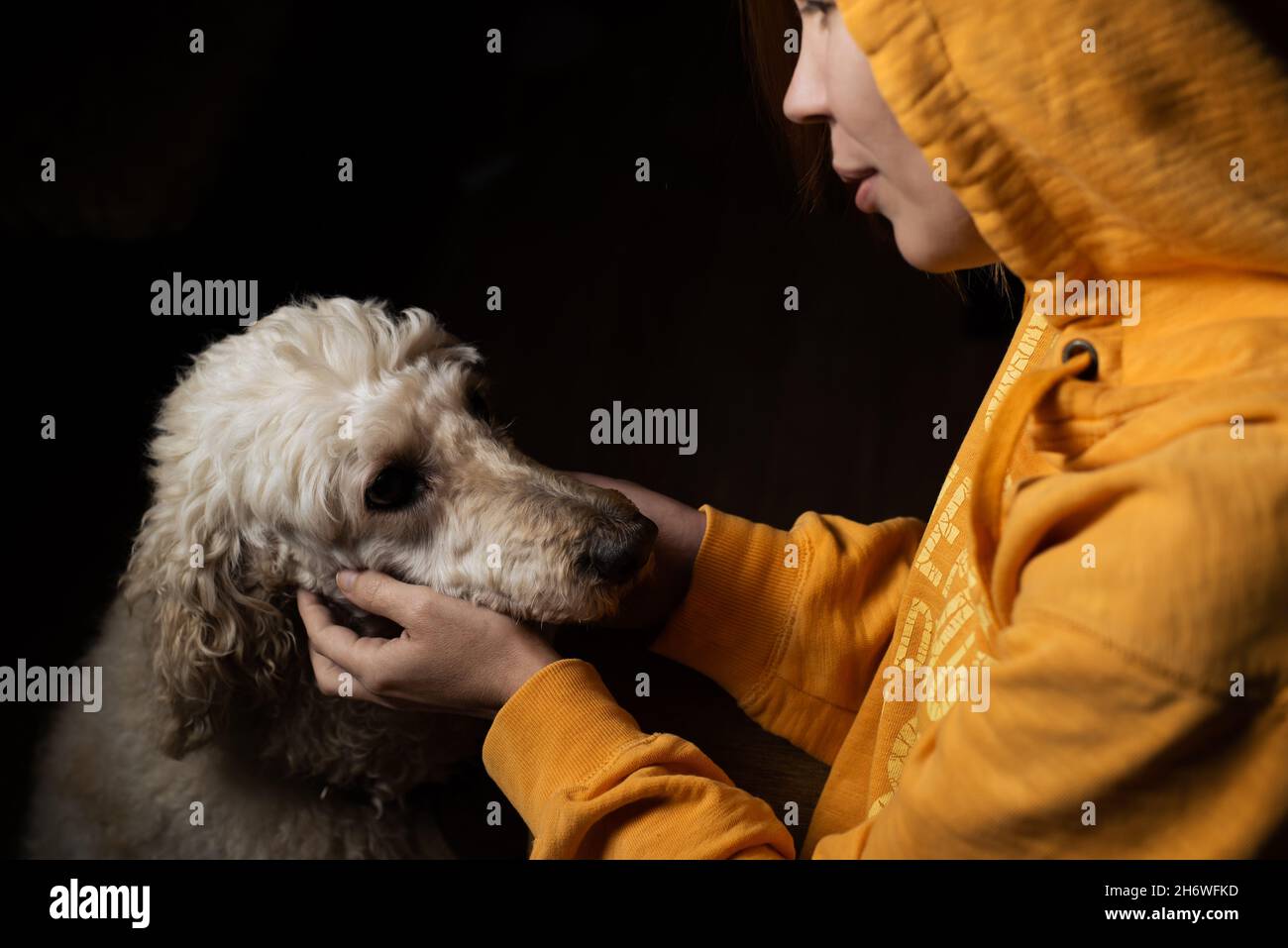 Human and pet interaction hi-res stock photography and images - Alamy