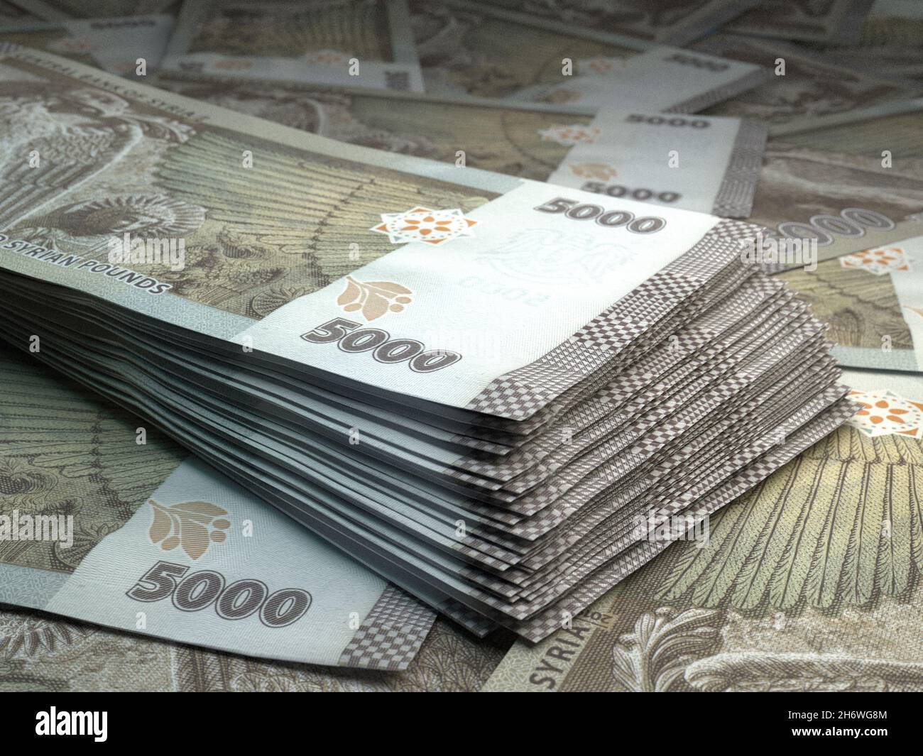 Money of Syria. Pound bills. SYP banknotes. 5000 Arabic. Business ...