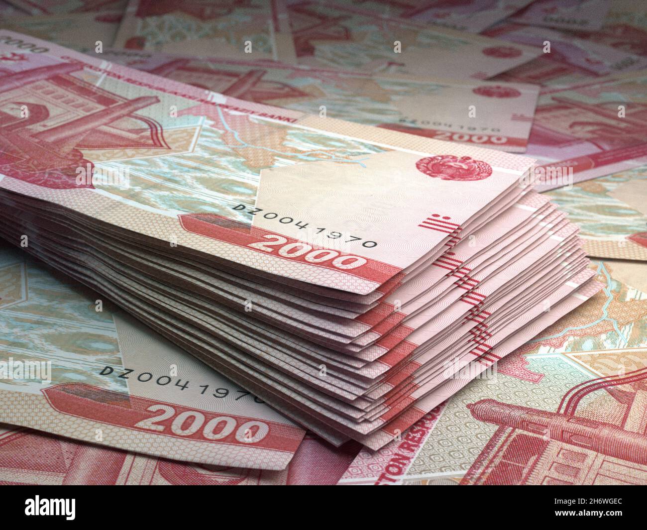 Money of Uzbekistan. Som bills. UZS banknotes. 2000 Uzbek. Business ...