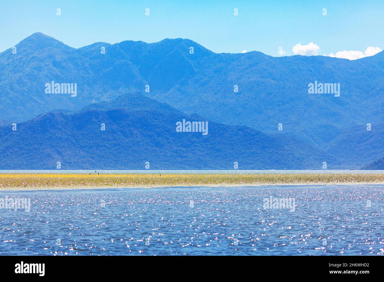 National Park of Skadar Lake in Albania and Montenegro . Nature reserve ...