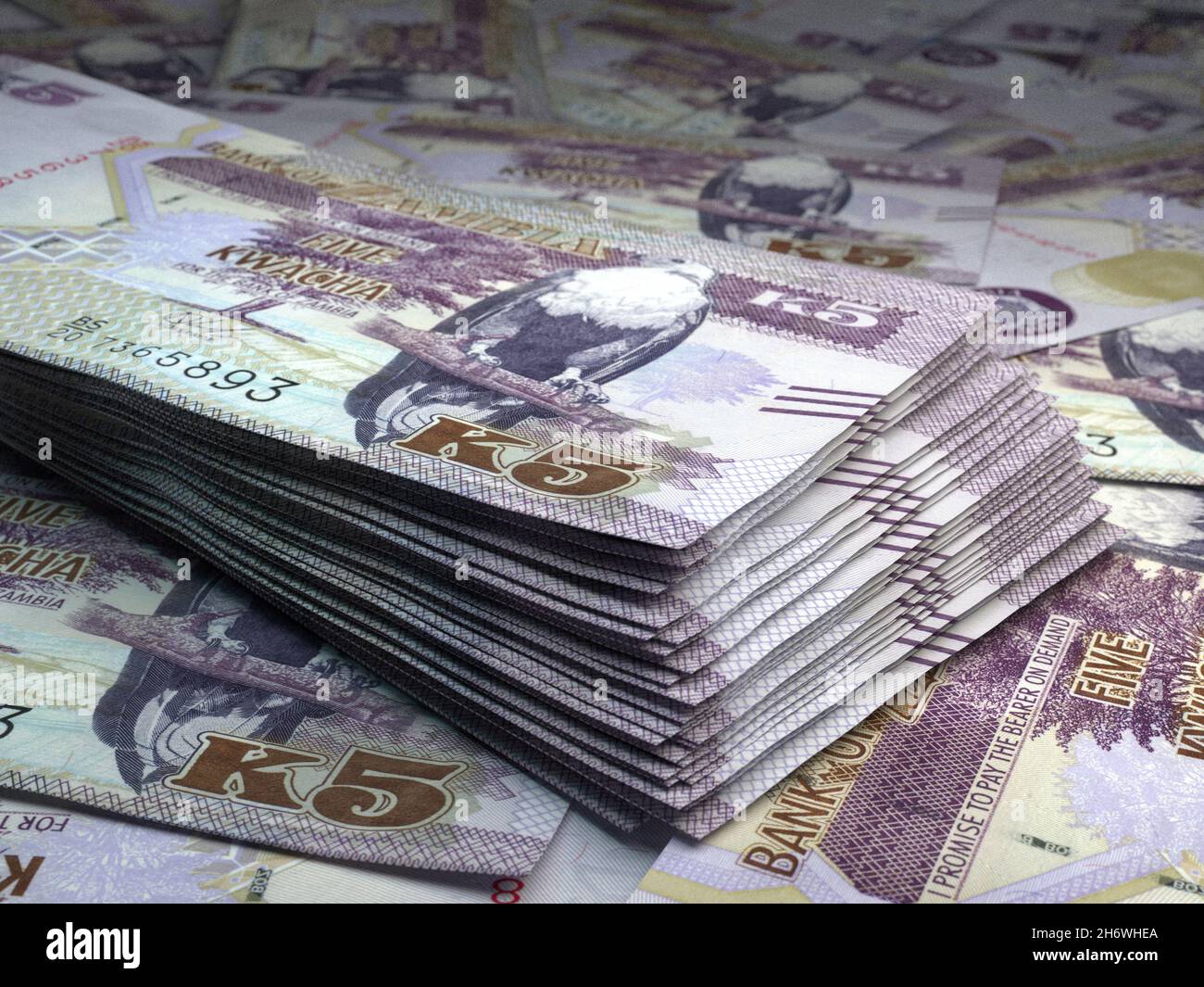 Money of Zambia. Kwacha bills. ZMW banknotes. 5 Bemba. Business ...