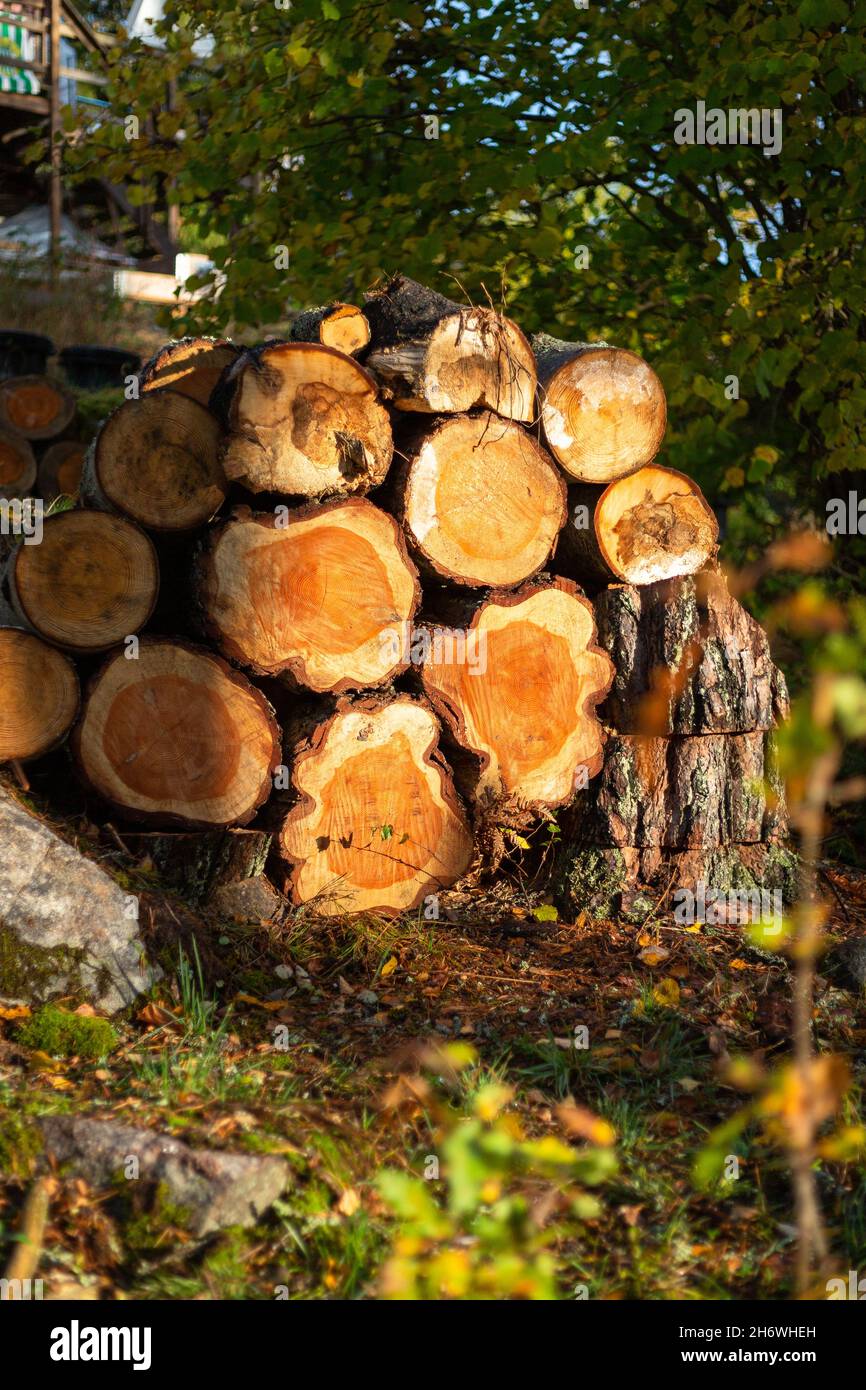 Logging saw hi-res stock photography and images - Alamy