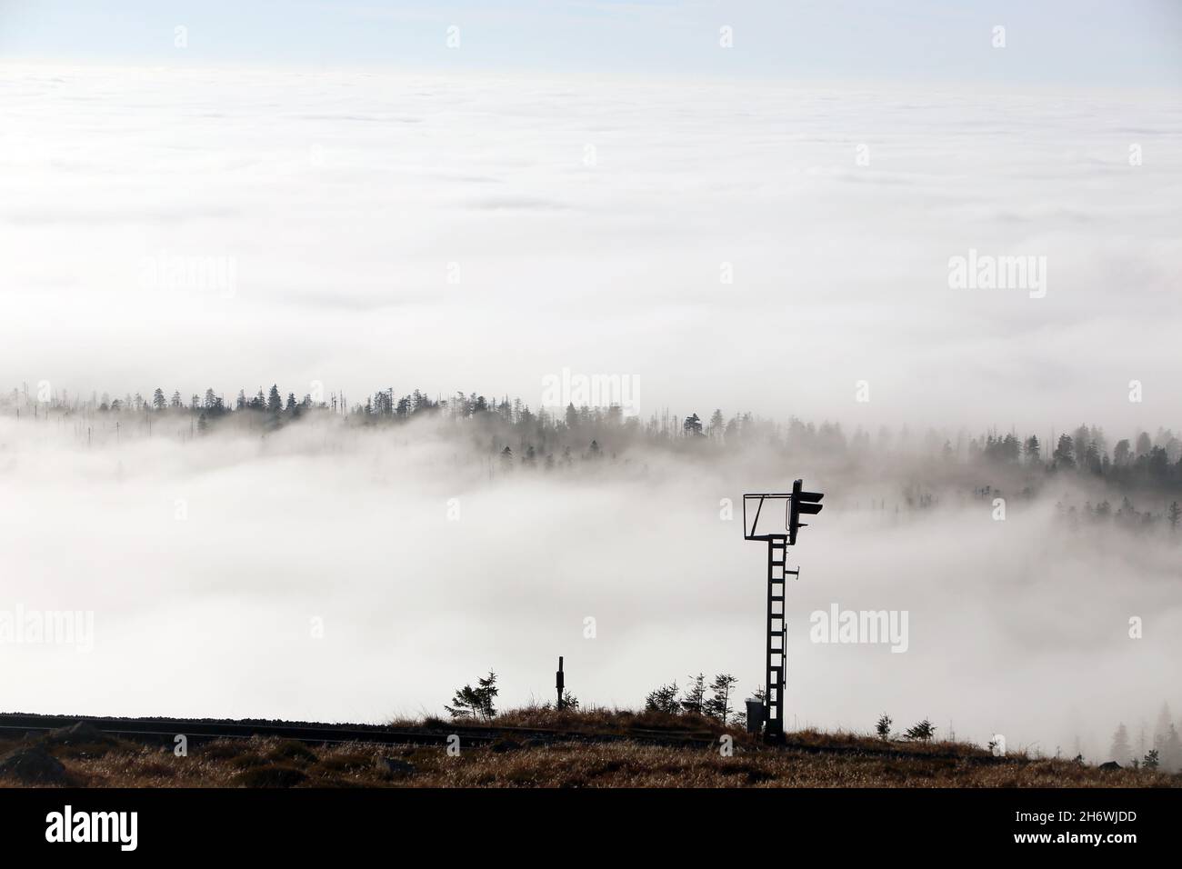 Schierke, Germany. 16th Nov, 2021. Tree tops sticking out of a fog ...