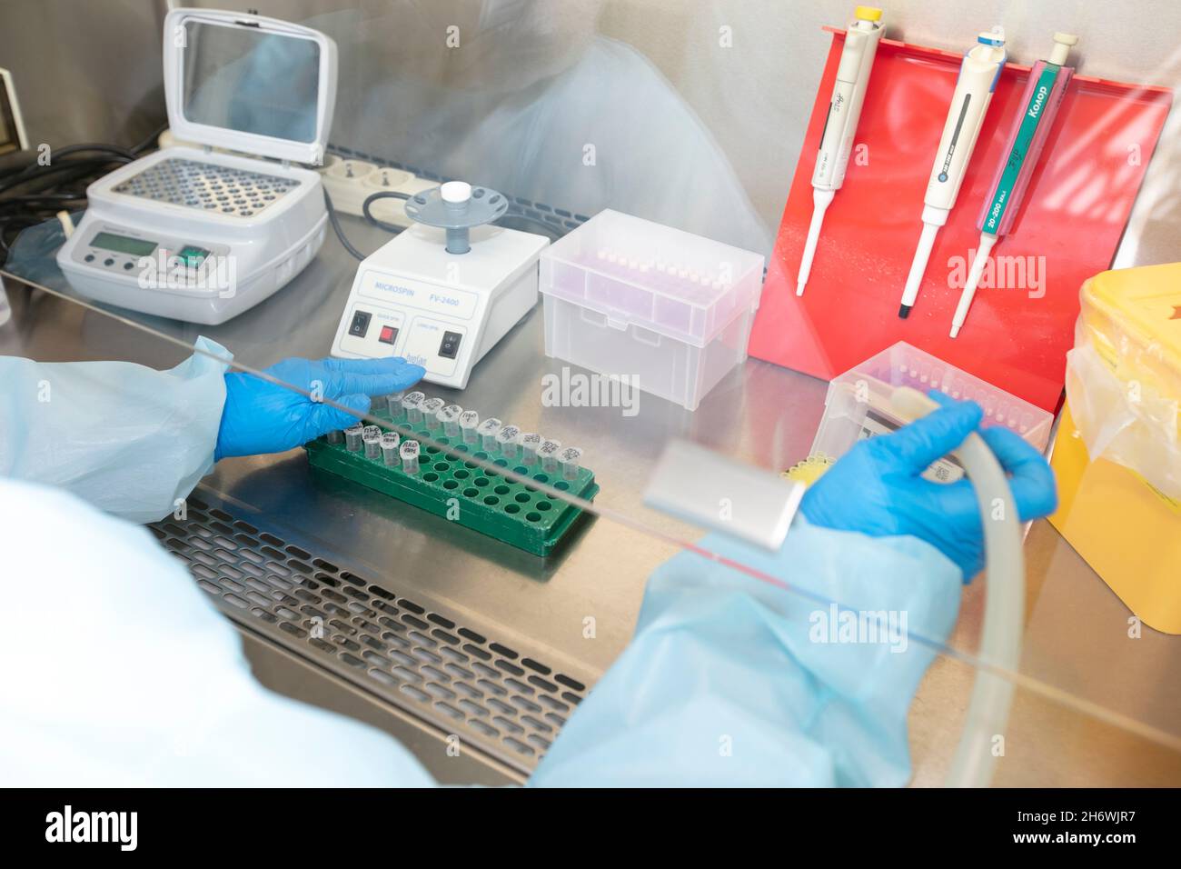 The hands of a physician laboratory assistant in an infectious disease ...