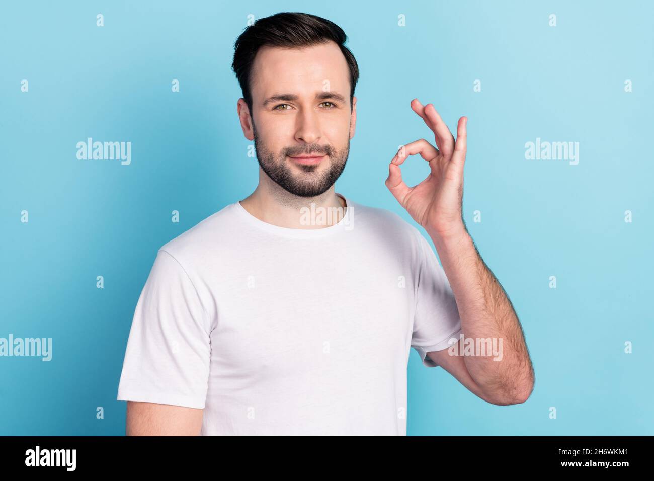 Portrait of attractive successful guy expert showing ok-sign ad agree ...