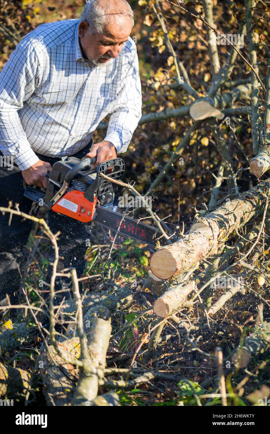Figure of a man cutting trees and bushes with a petrol chainsaw to ...