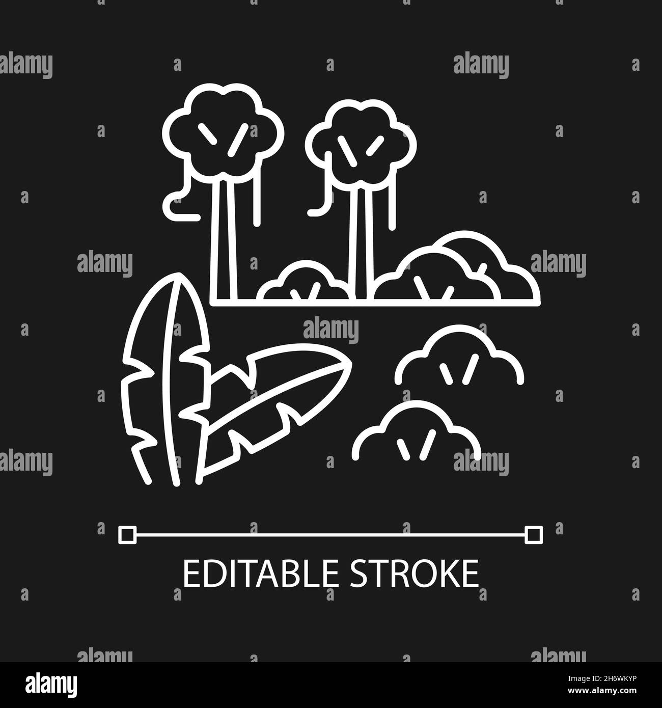 Tropical rainforest biome Stock Vector Images - Alamy