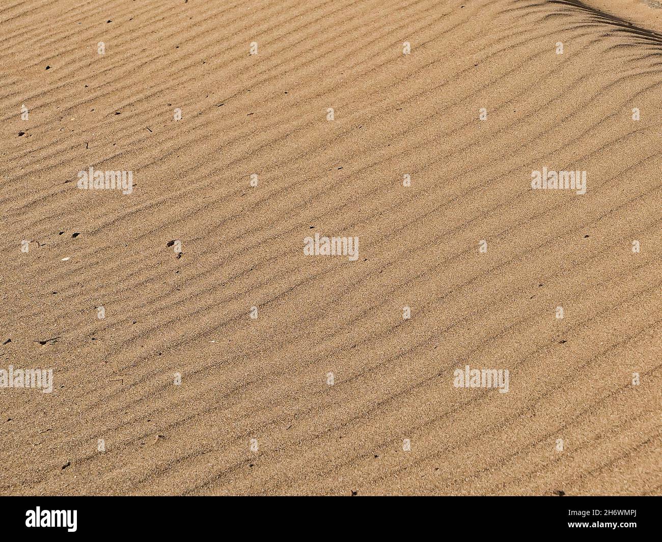 Sand ridges hi-res stock photography and images - Alamy