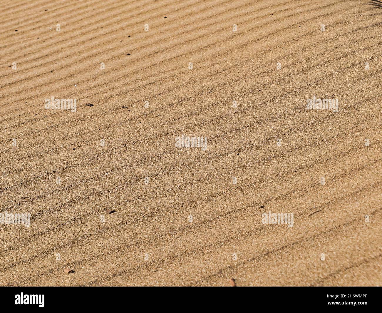 Sand Ridges High Resolution Stock Photography and Images - Alamy