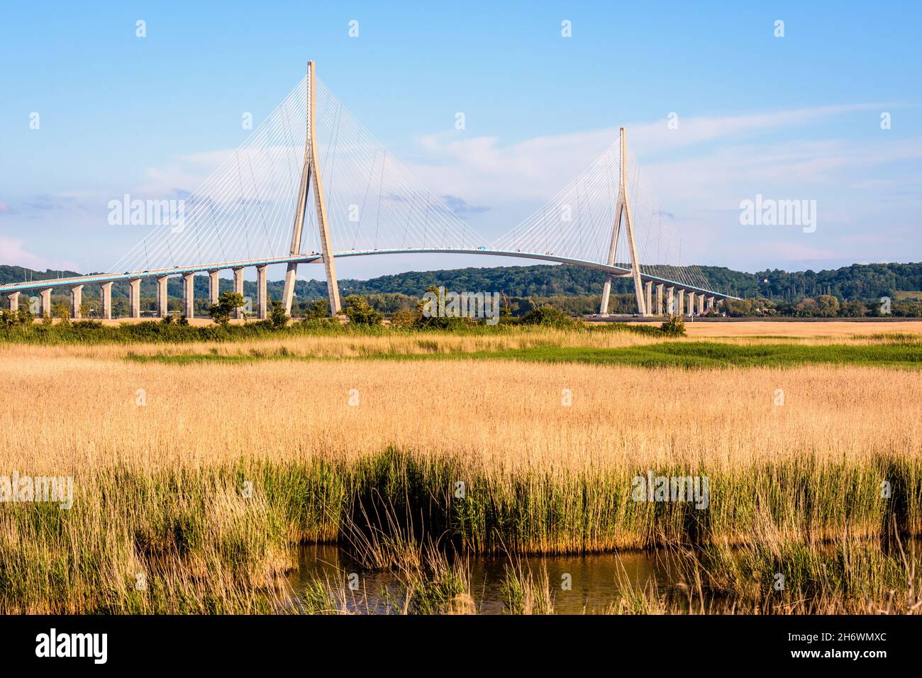 General view of the Normandy bridge, a cable-stayed road bridge over ...