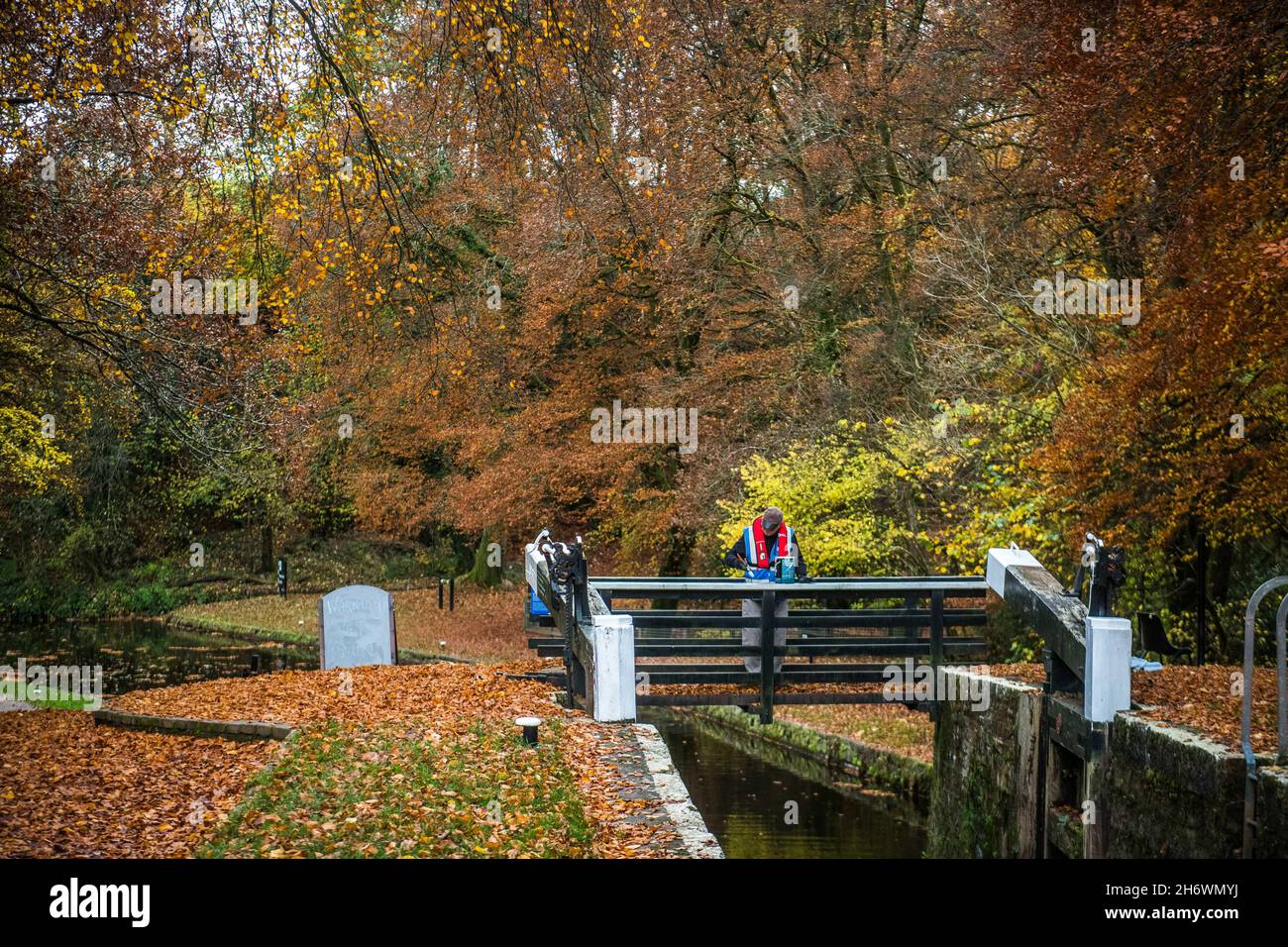 Volunteer paints hi-res stock photography and images - Alamy