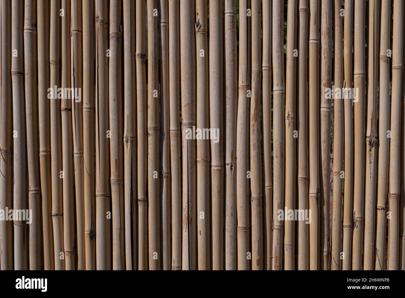 Natural detailed bamboo textured wall as a background vertical Stock ...