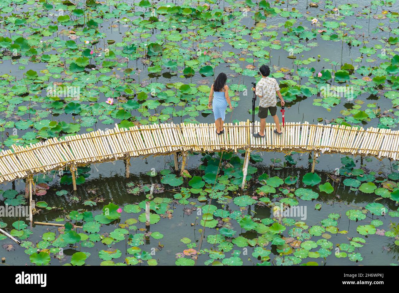 Top view of Asian tourists enjoy taking pictures on bamboo bridge over ...
