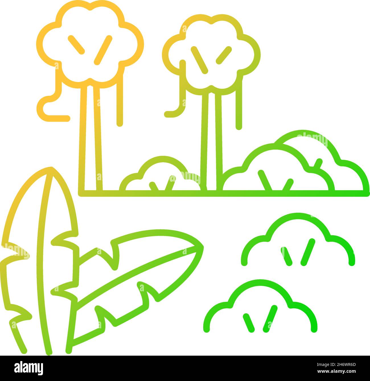 Tropical rainforest biome Stock Vector Images - Alamy