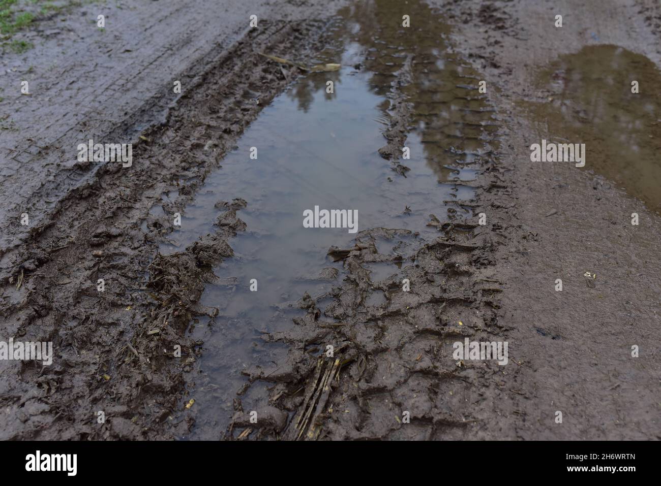 Broken dirt road after heavy rain. Swampy lagoon of a road demonstrates ...