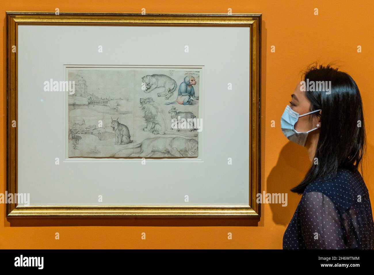 The credit suisse exhibition durer hi-res stock photography and images ...