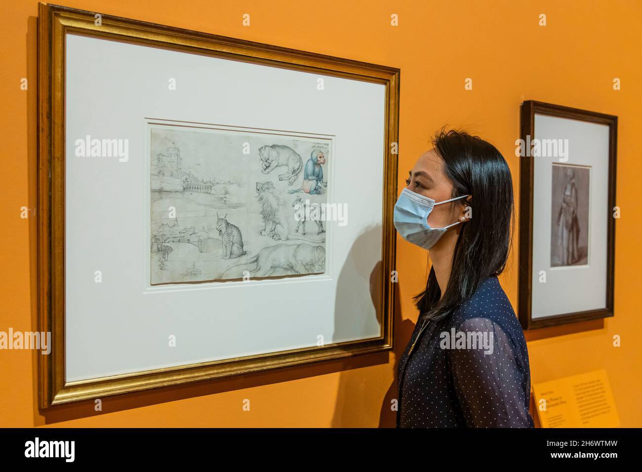London, UK. 18th Nov, 2021. Animal sketches by Durer - The Credit ...