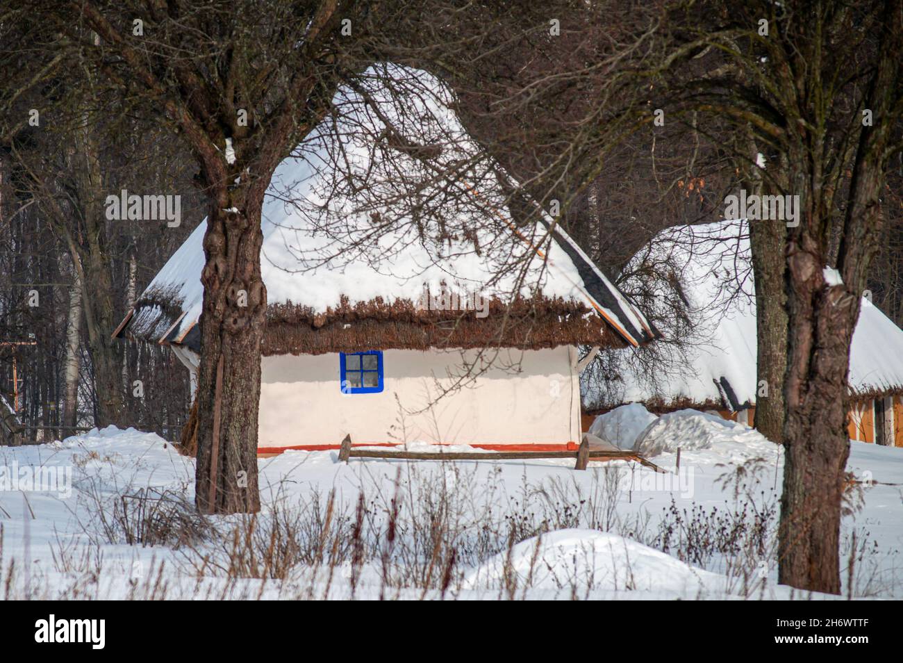 Winter landscape of traditional Ukrainian village. Ancient house in ...