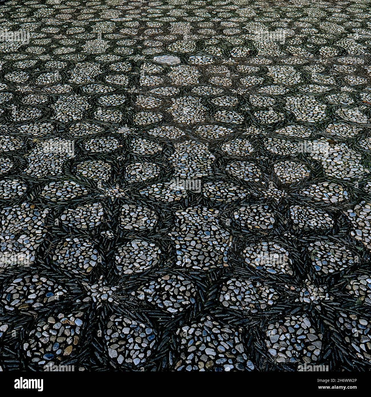 Detail view of a traditional cobbled or pebbled pavement in the Gardens ...