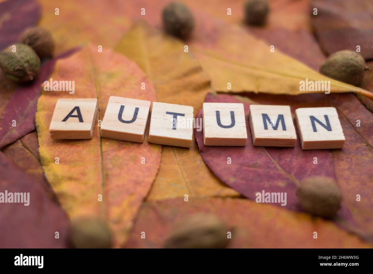 Dry fruits letters hi-res stock photography and images - Alamy
