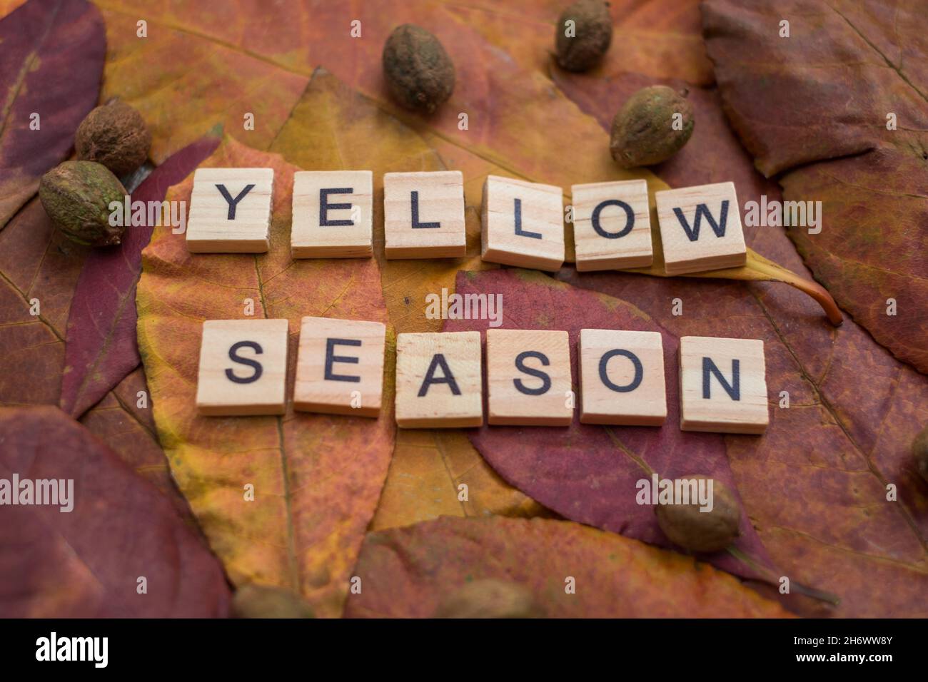 Dry fruits letters hi-res stock photography and images - Alamy