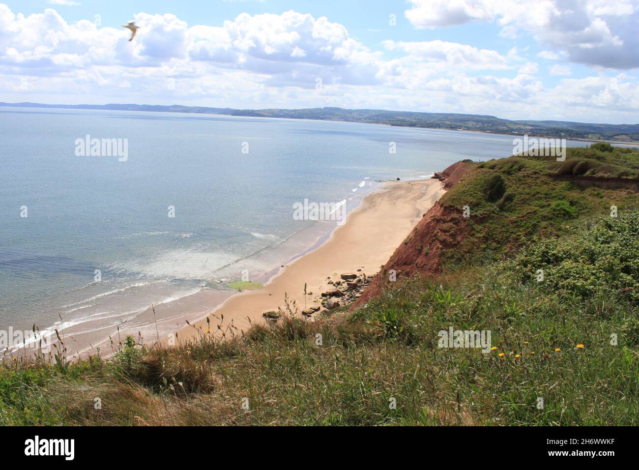 The England south west coast path. South Devon. England. UK Stock Photo ...