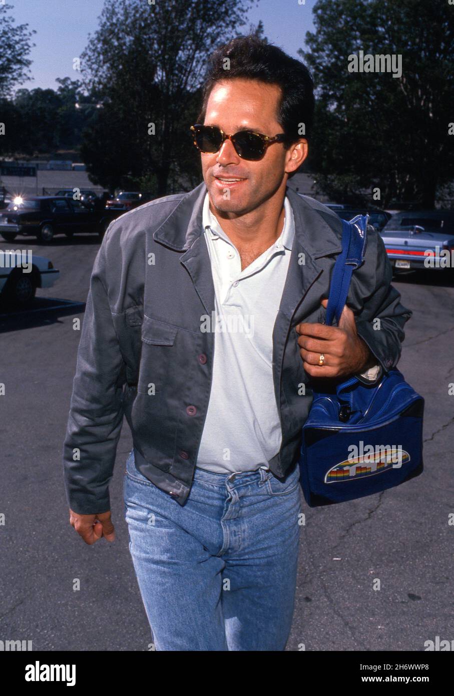 Gregory Harrison Circa 1980's Credit: Ralph Dominguez/MediaPunch Stock ...