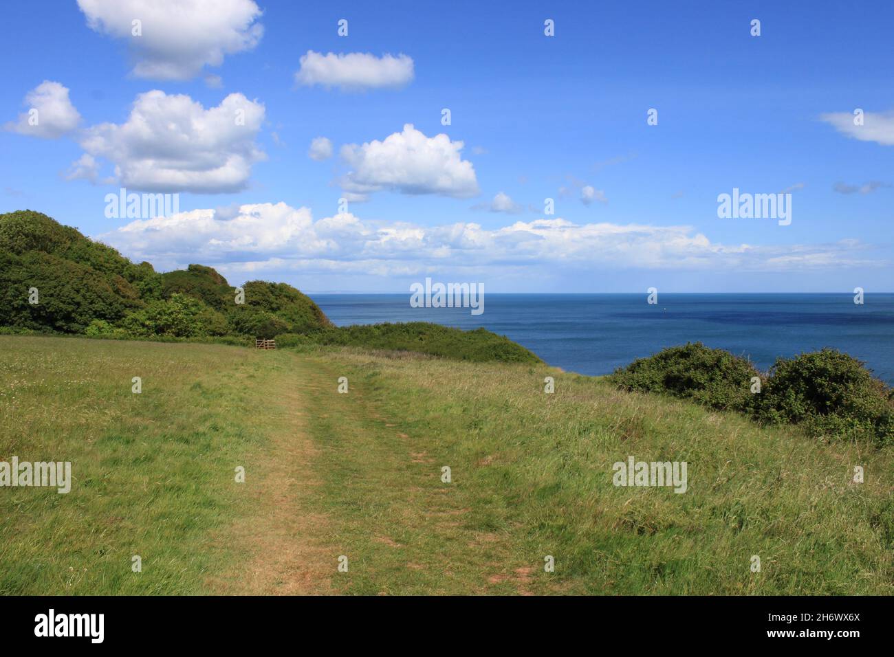 The England south west coast path. South Devon. England. UK Stock Photo ...