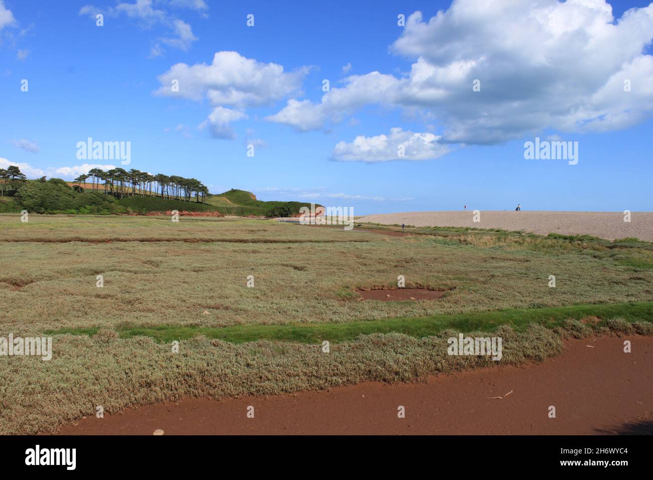 River Otter salt marsh. Budleigh Salterton. The England south west ...
