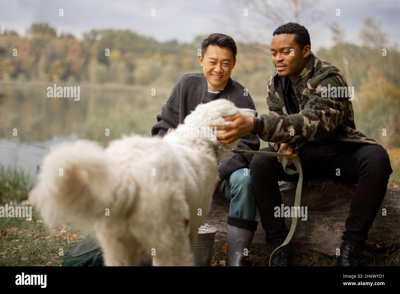 Male friends caressing dog hi-res stock photography and images - Alamy