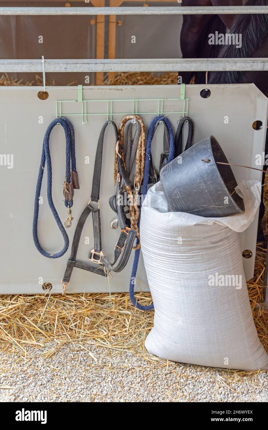 Horse Harness Food Sack and Bucket in Stables Stock Photo - Alamy