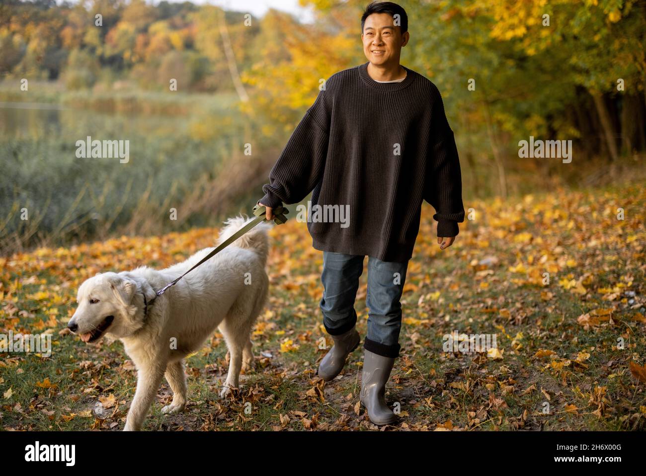 Man walking with sheepdog hi-res stock photography and images - Alamy