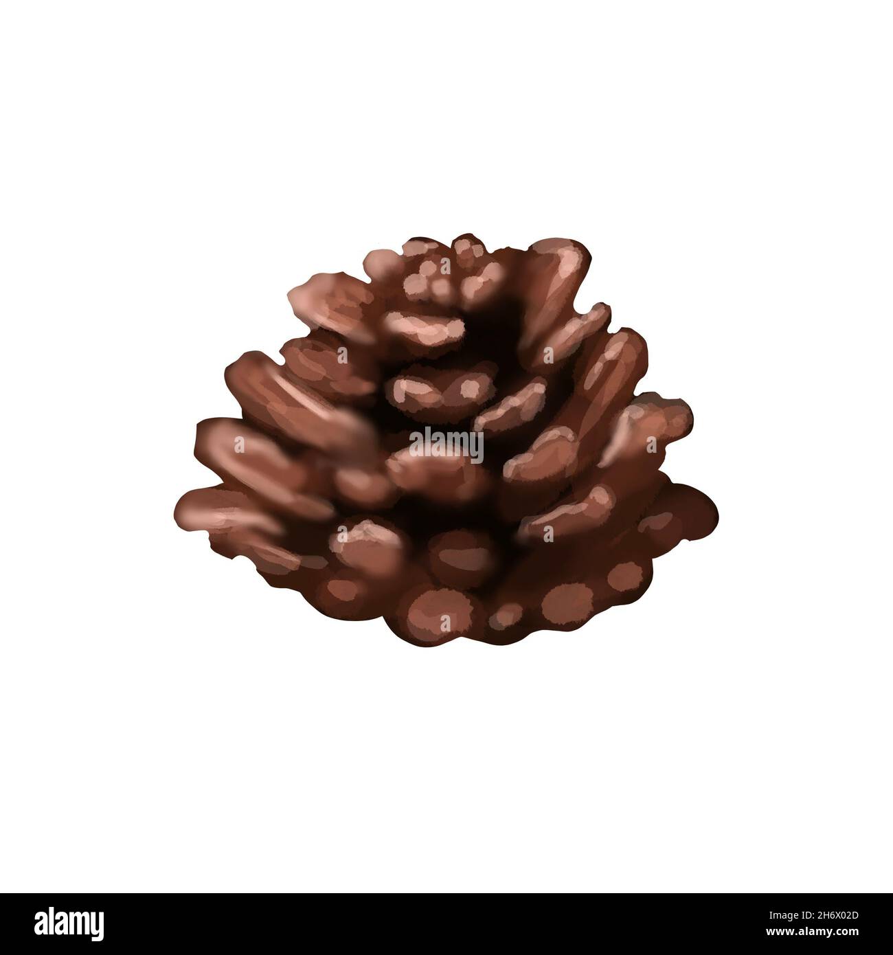 watercolor brown cone. isolated bump on a white background Stock Photo ...