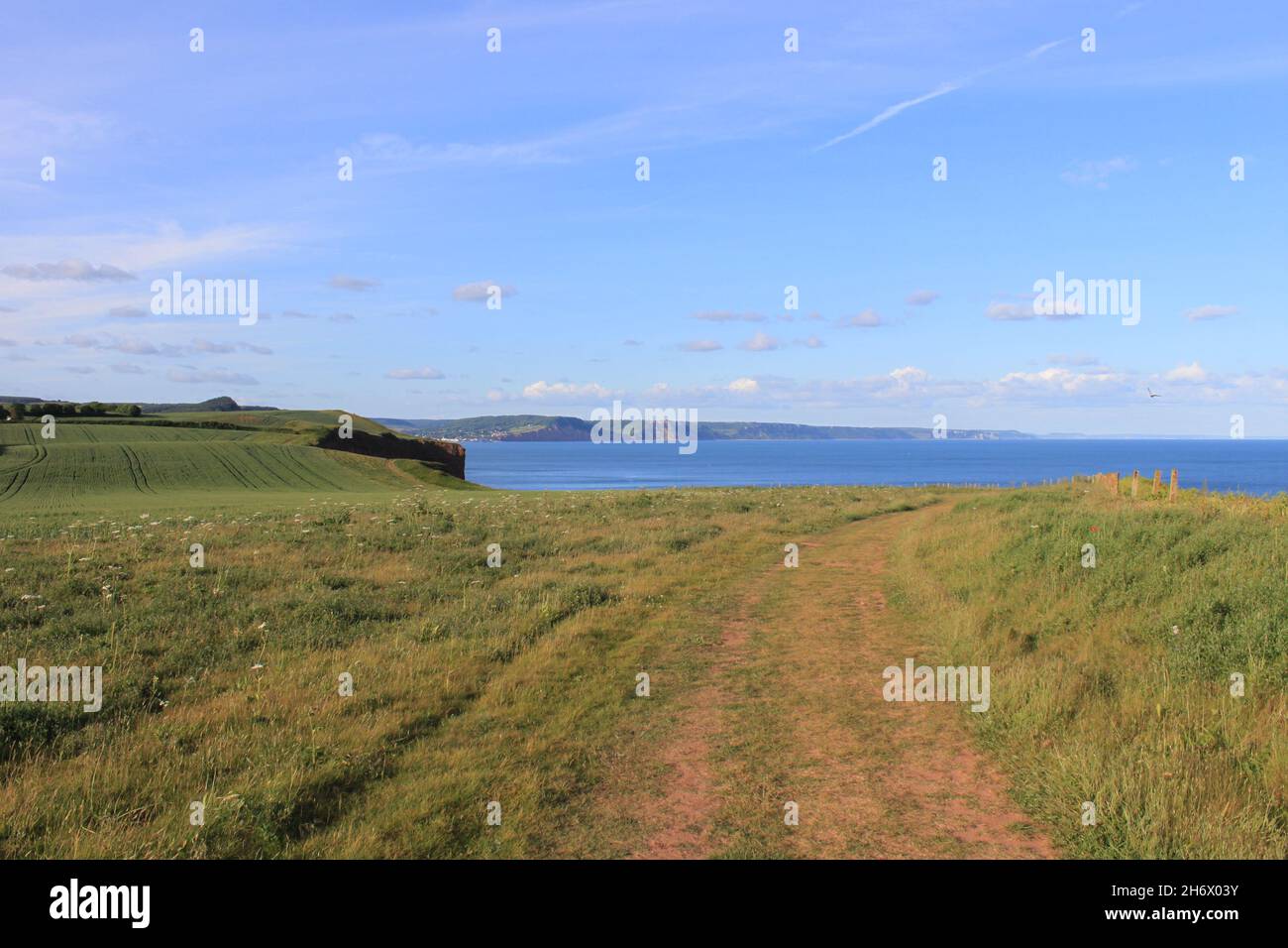 The England south west coast path. South Devon. England. UK Stock Photo ...