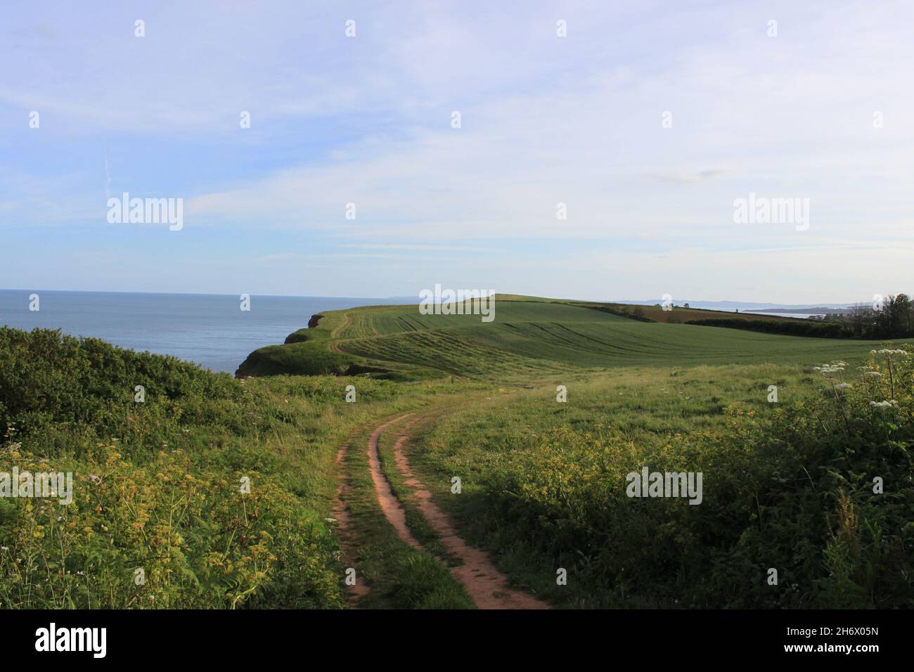 The England south west coast path. South Devon. England. UK Stock Photo ...