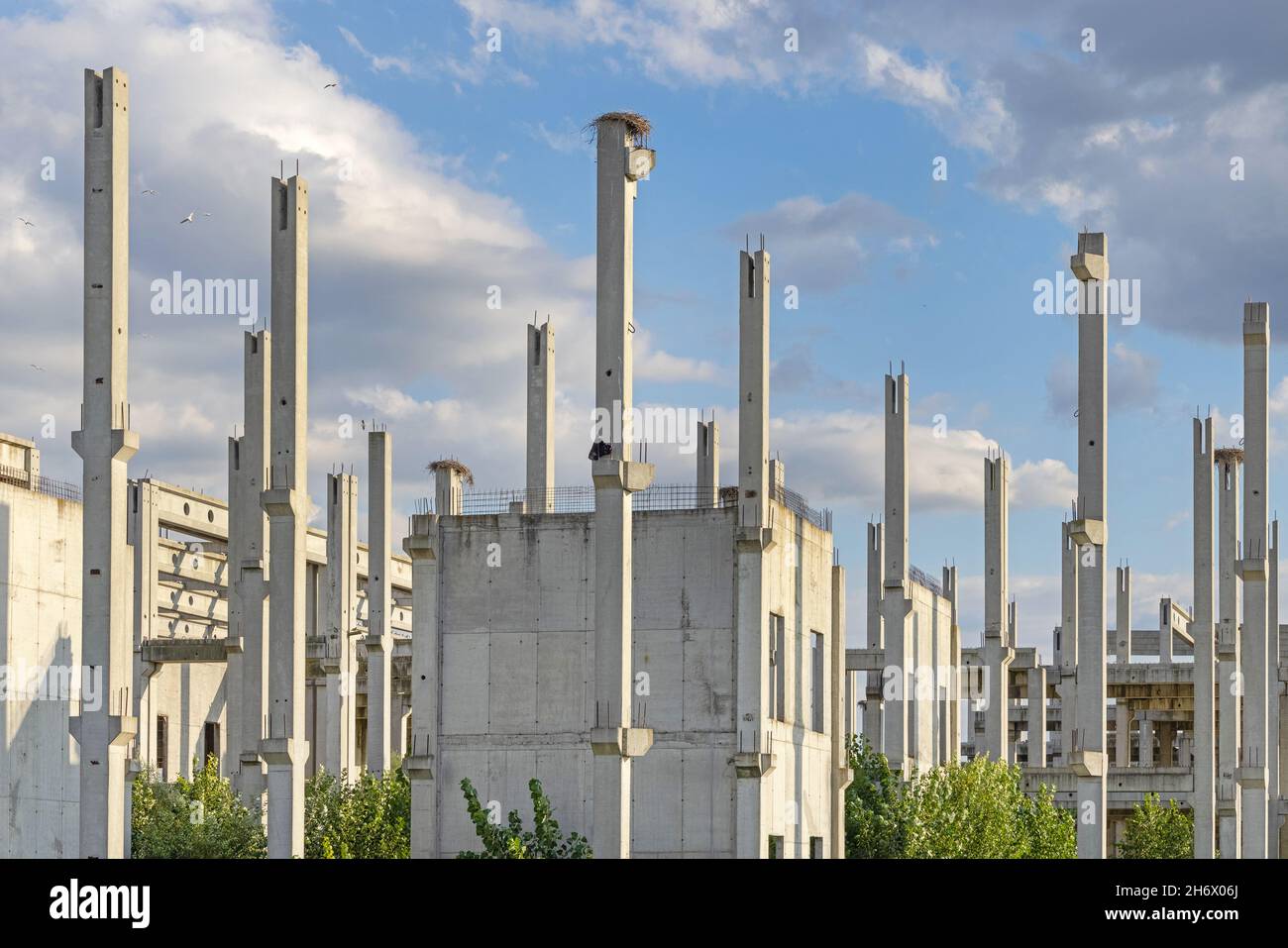 Abandoned Reinforced Concrete Big Building Construction Skeleton Stock ...