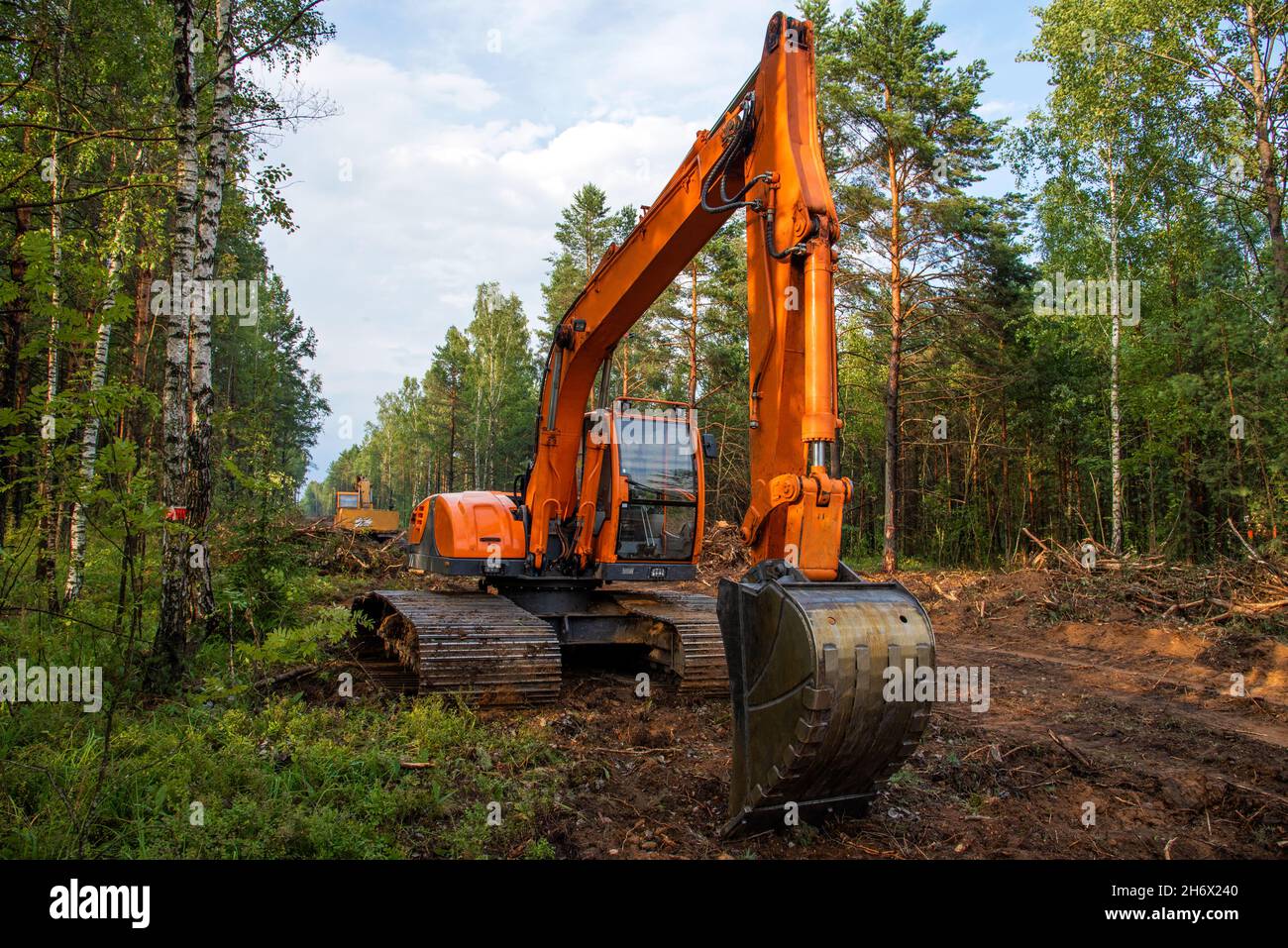 Excavator clearing forest for new development. Orange Backhoe modified ...