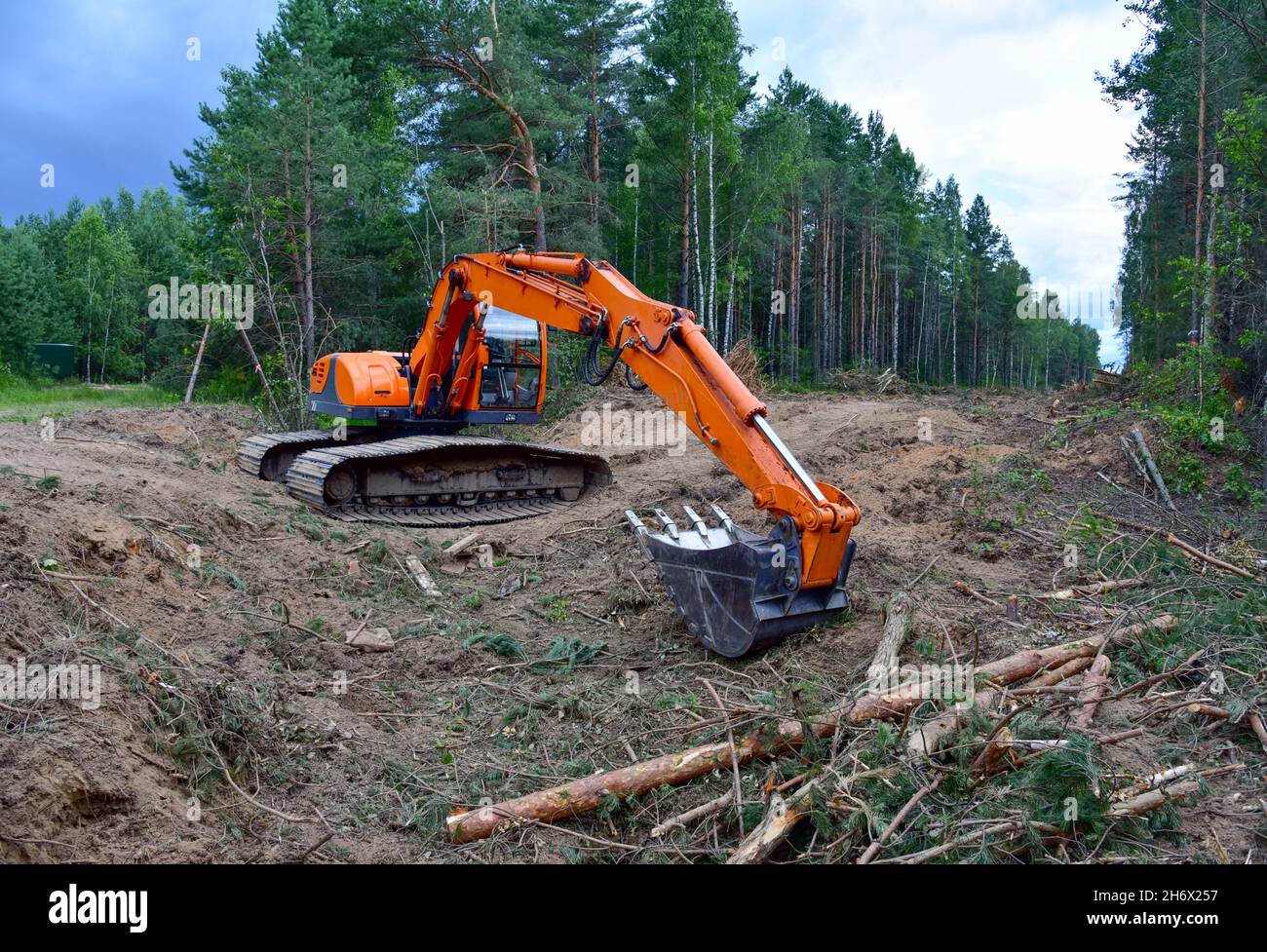 Excavator clearing forest for new development. Orange Backhoe modified ...